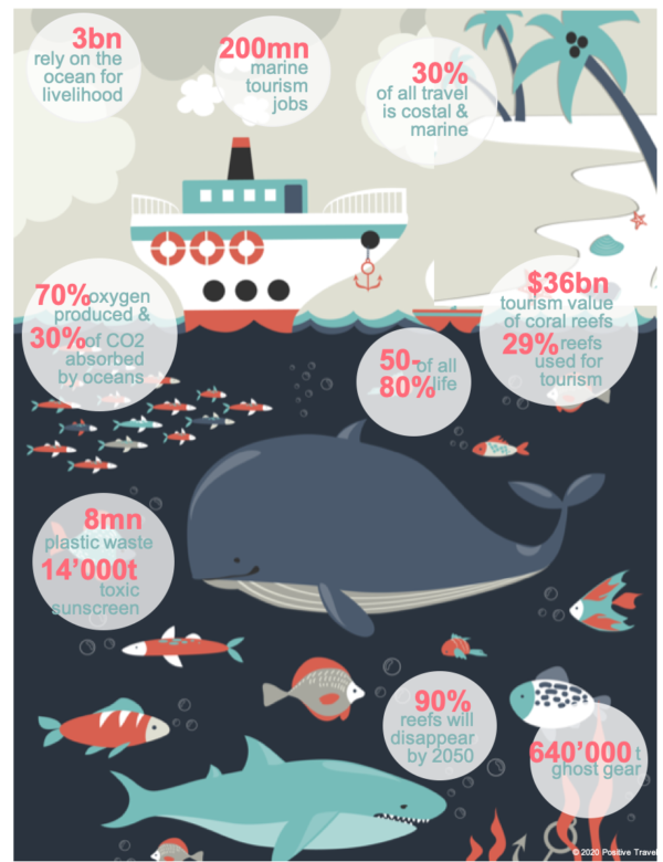 Positive Oceans | Lifestyle & Travel Choices for Healthy Oceans
