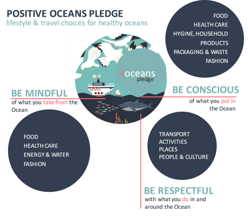 Positive Oceans | Lifestyle & Travel Choices for Healthy Oceans